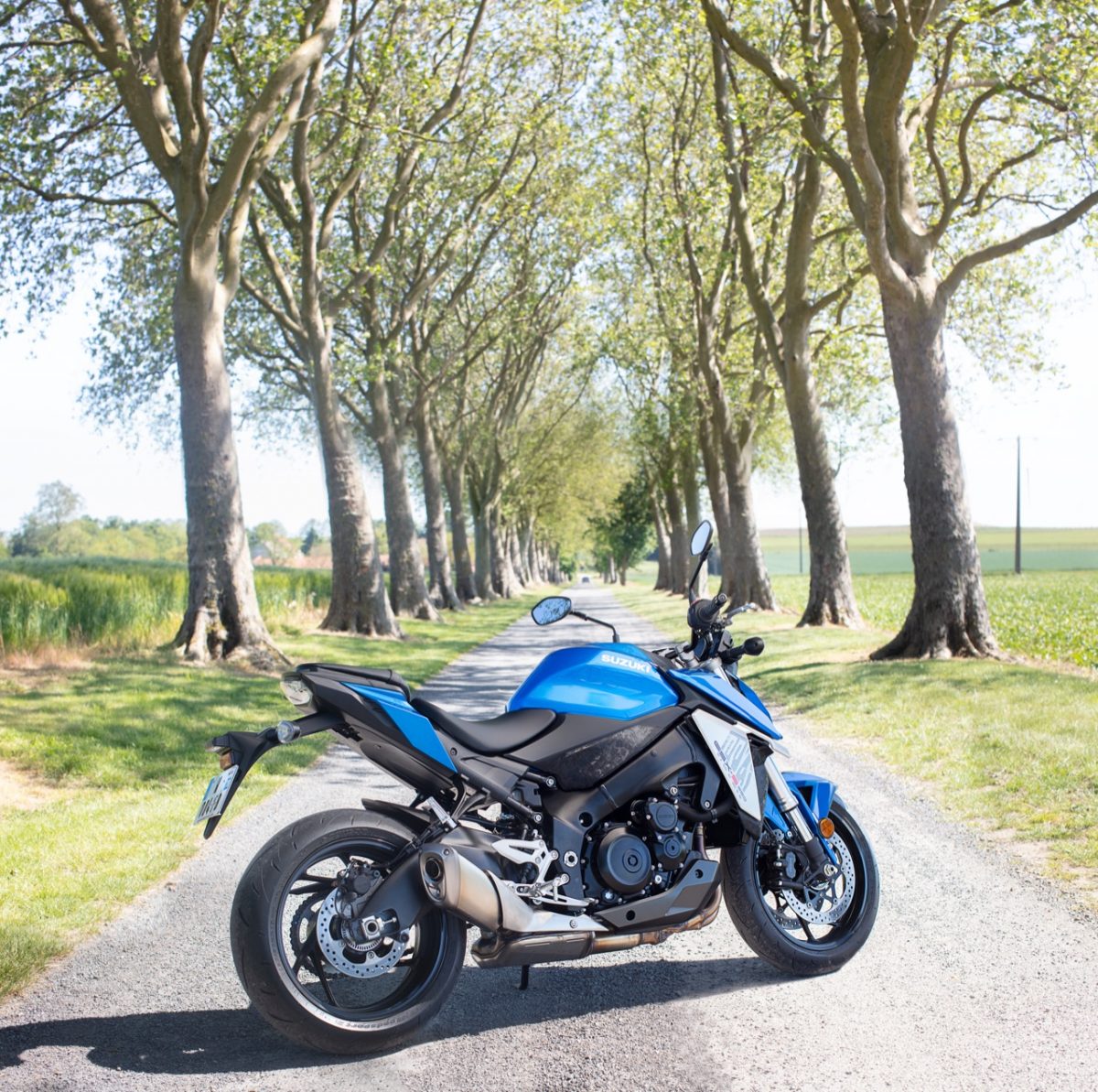 Suzuki GSX-S950: annuncio del prezzo, modello, informazioni