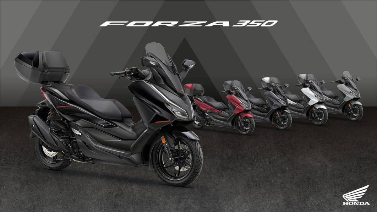 Honda Forza 125 e Forza 350: arrivano nuove colorazioni con il model ...