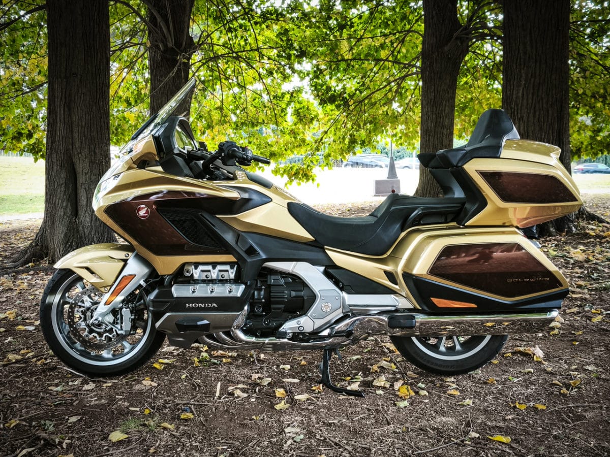 GOLDWING 5TH (3)